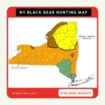 New York Hunting: 2025-2026 Season Dates And Regulations